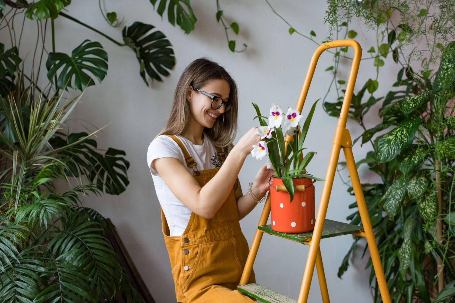 Hello Plants | High quality plants delivered to your door